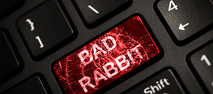 What do We Know About “Bad Rabbit”, and What can Businesses do to ...