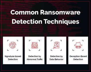 How to Detect Ransomware: Common Detection Techniques