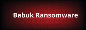 What is Babuk Ransomware?